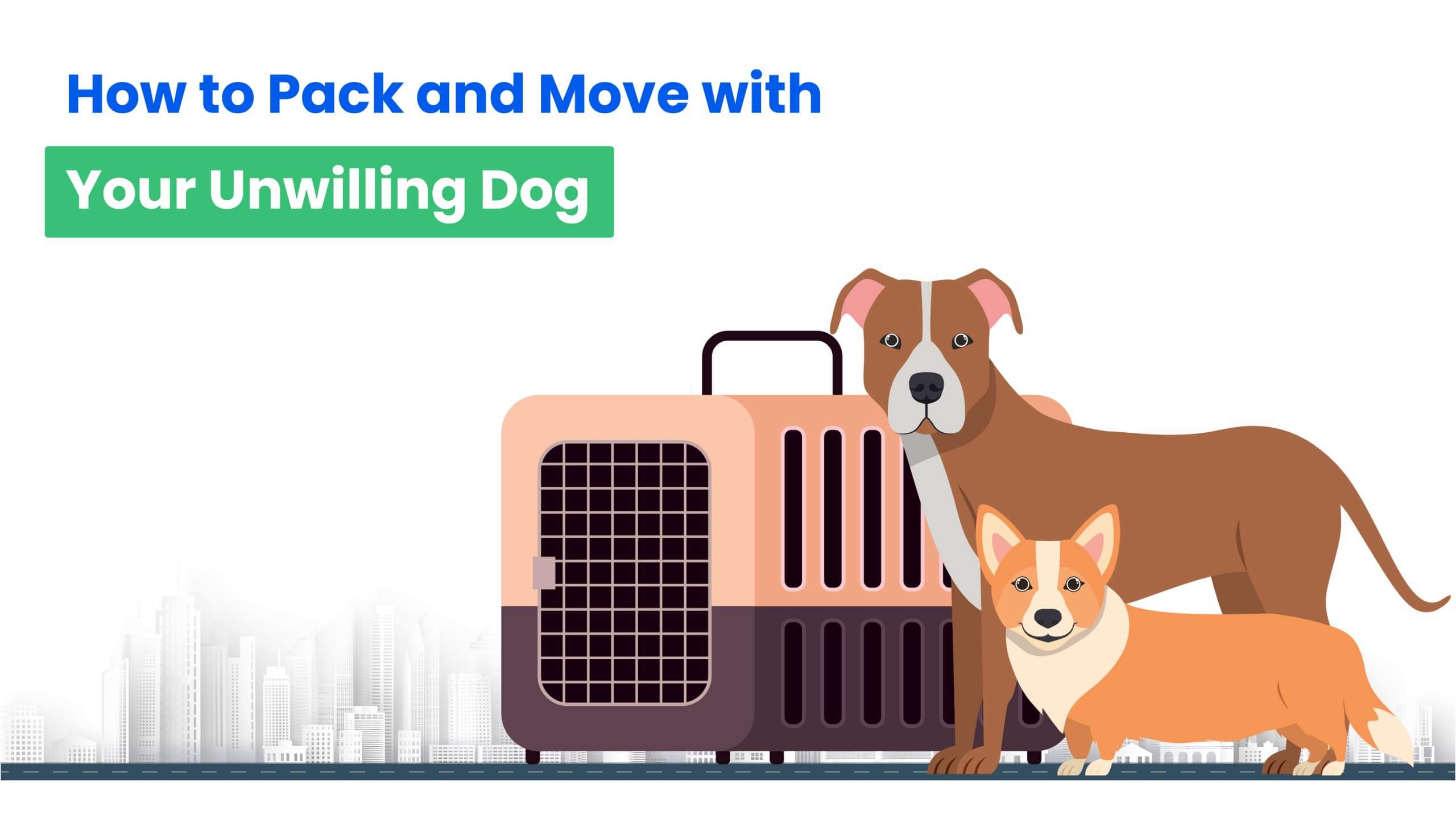 Things to Consider when Relocating with Your Dog